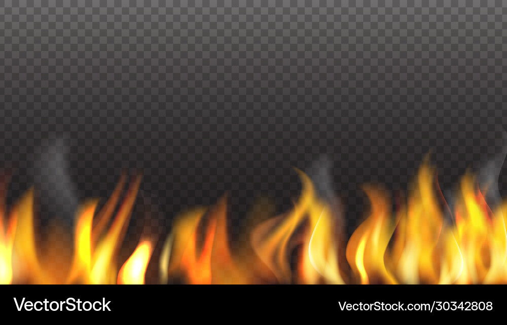 Realistic fire background flame isolated Vector Image