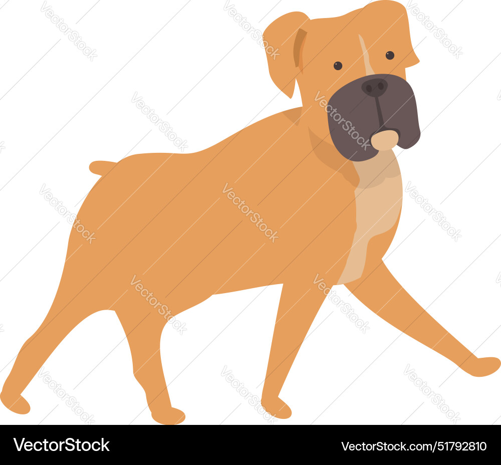 Happy boxer dog walking with short tail Royalty Free Vector