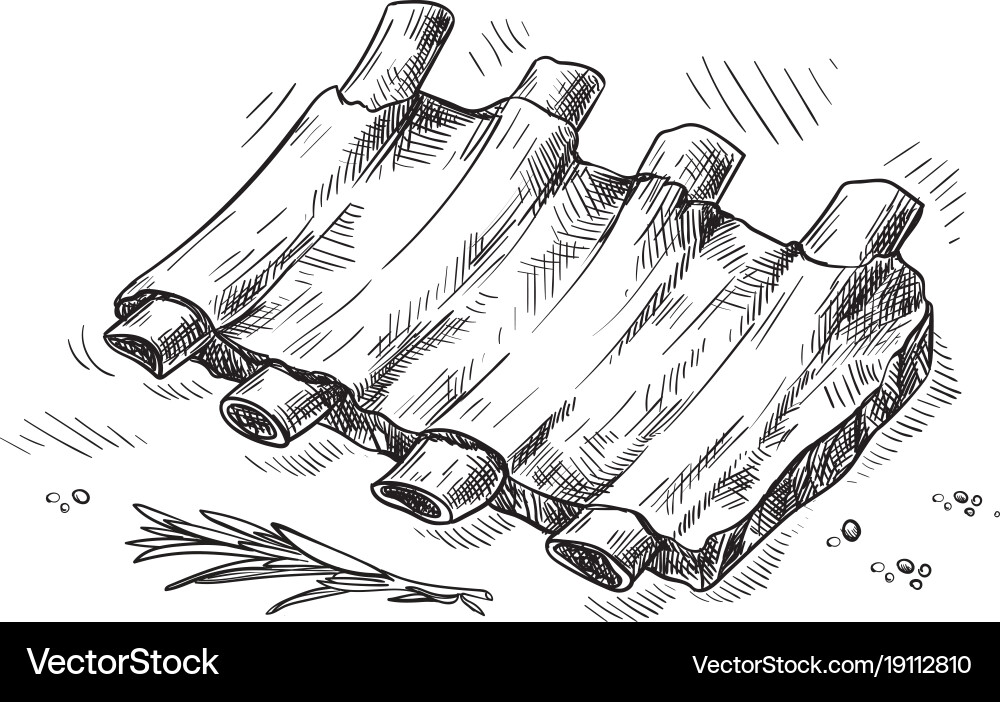 Pork ribs isolated on white background Royalty Free Vector