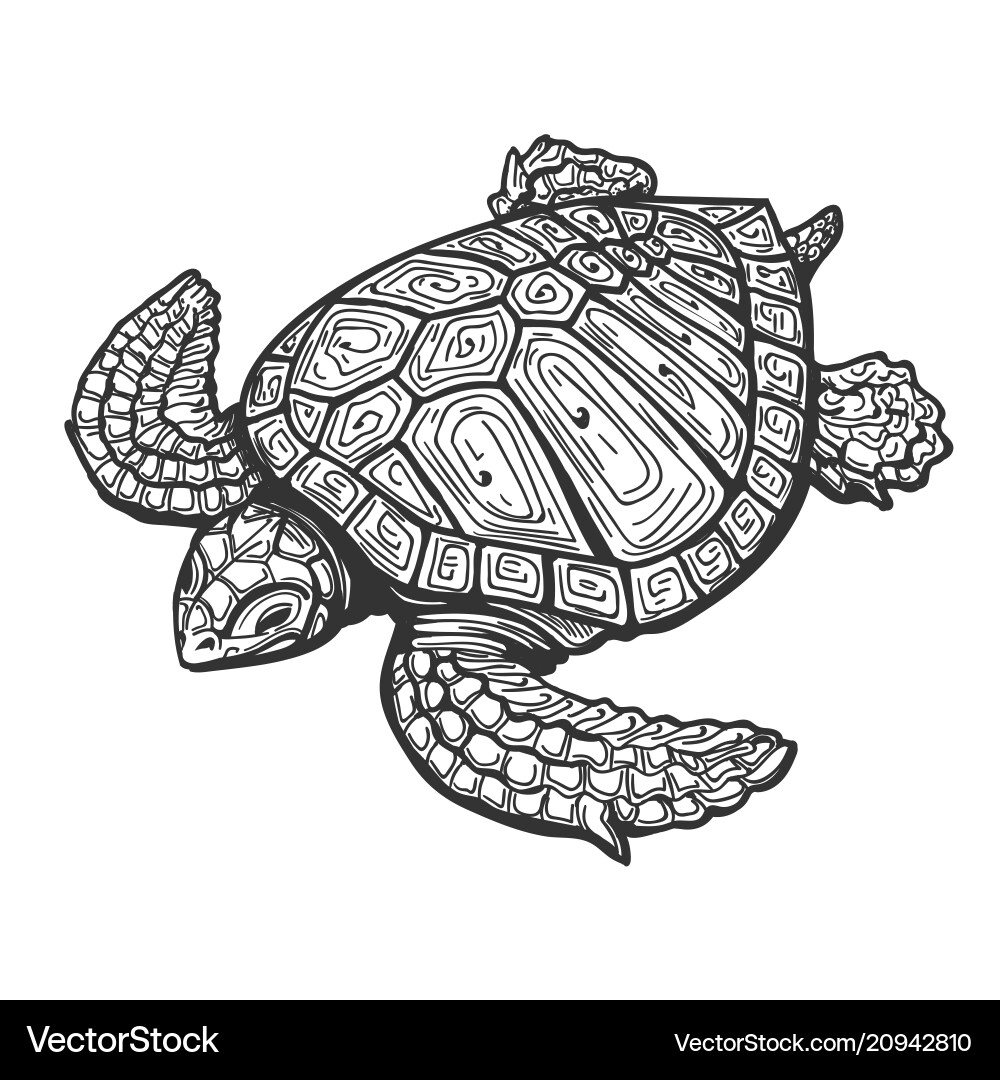 Sea turtle tattoo Royalty Free Vector Image - VectorStock