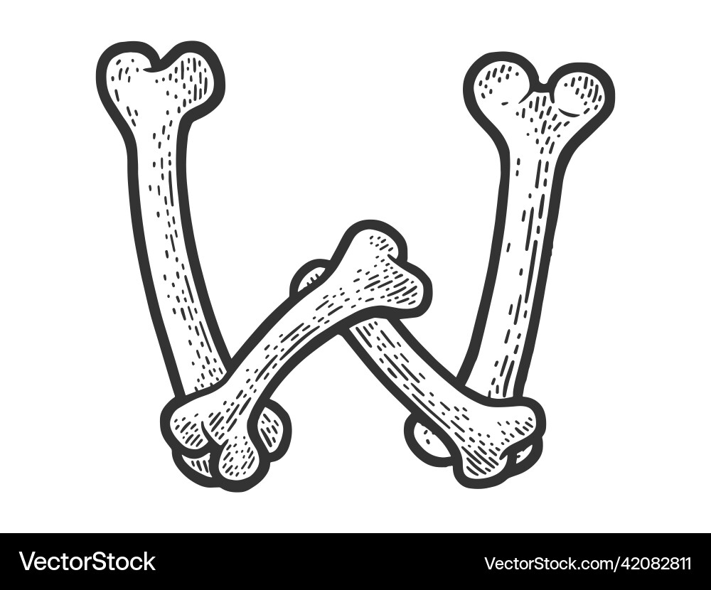 Bone Letter W Sketch Royalty Free Vector Image