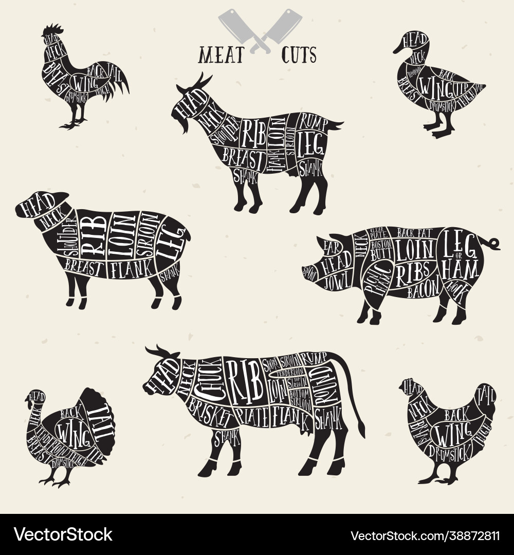 Meat cuts set diagrams for butcher shop scheme Vector Image