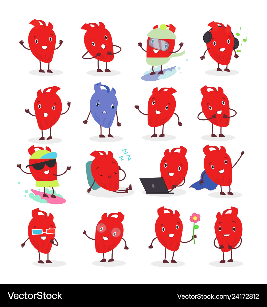 Cute anatomical heart Royalty Free Vector Image