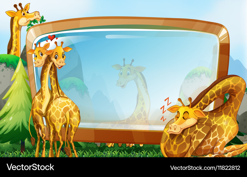 Frame design with giraffe in garden Royalty Free Vector