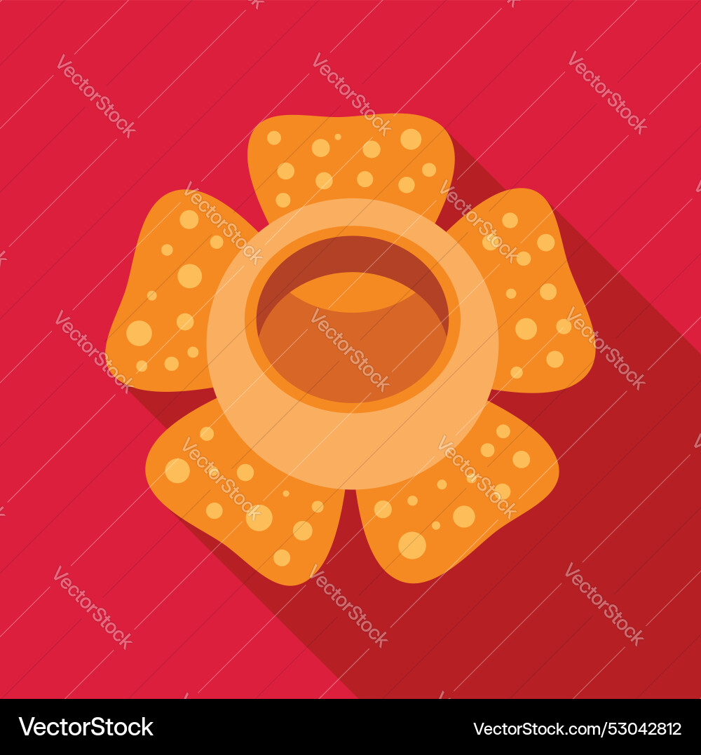 Rafflesia flower blooming showing its hole in flat