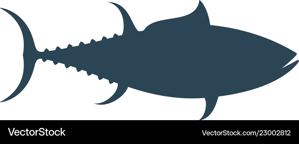 Tuna Royalty Free Vector Image - VectorStock