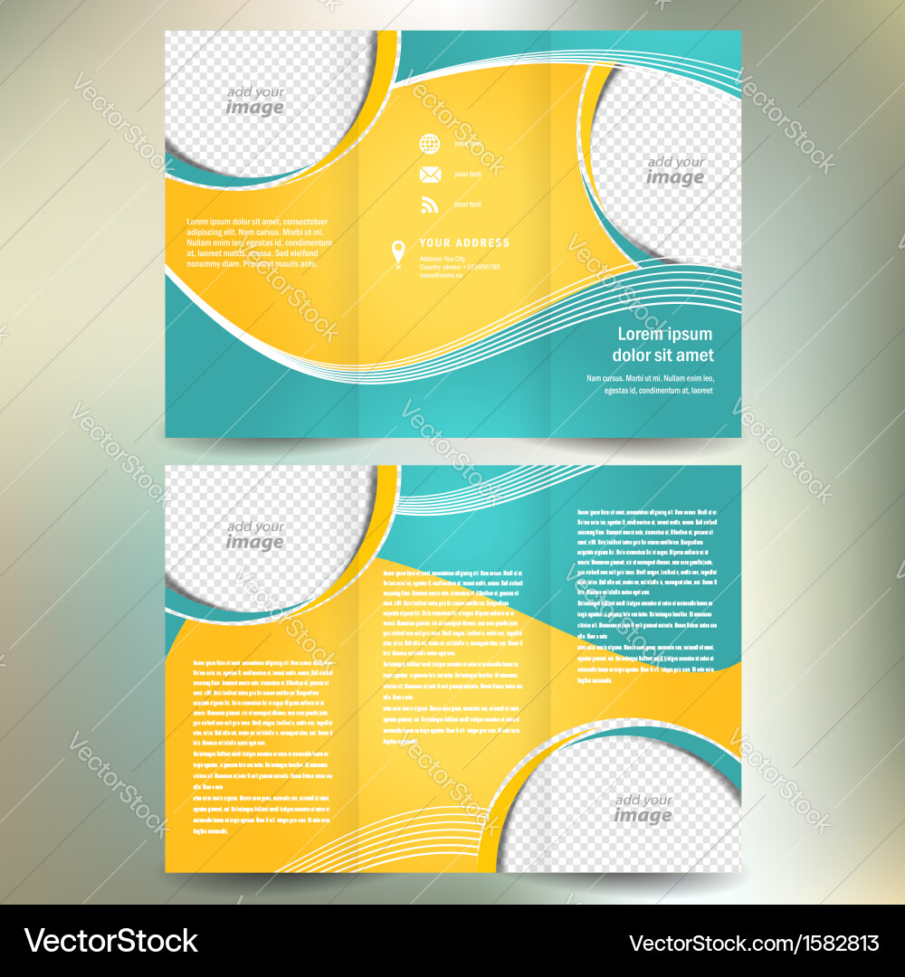 Brochure geometric abstract element color Vector Image
