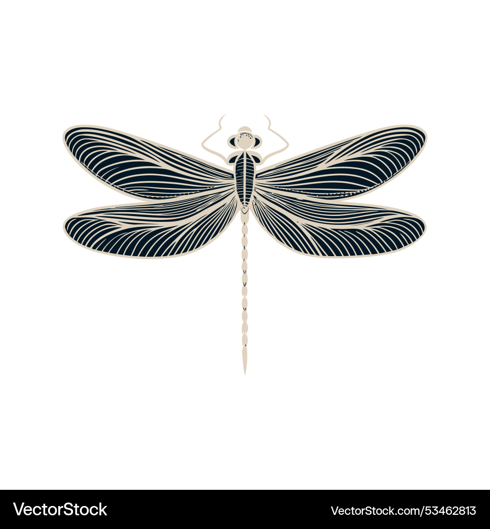 Dragonfly minimalist and flat logo Royalty Free Vector Image