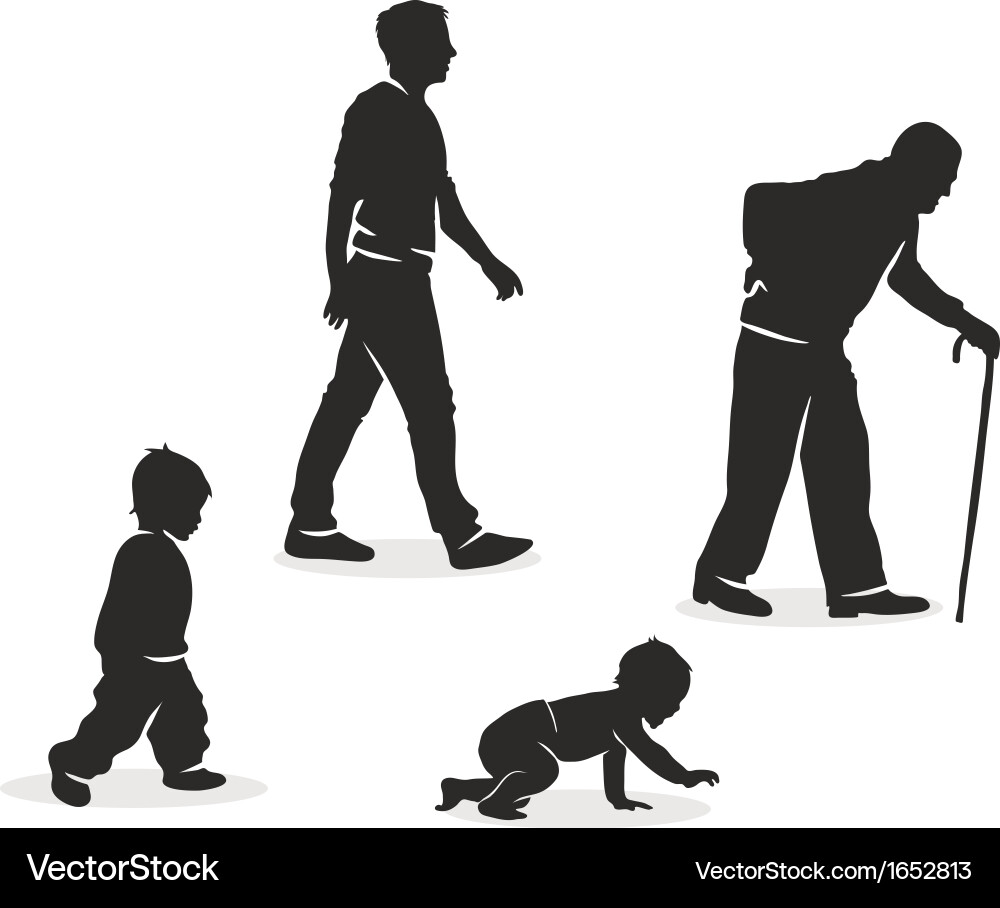 Life Royalty Free Vector Image - VectorStock