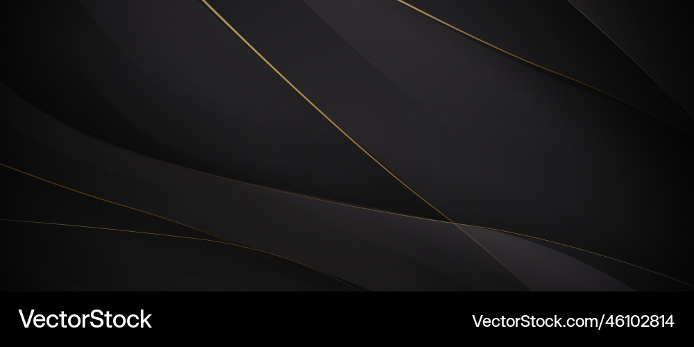 Abstract black smooth element lines and gold trim Vector Image