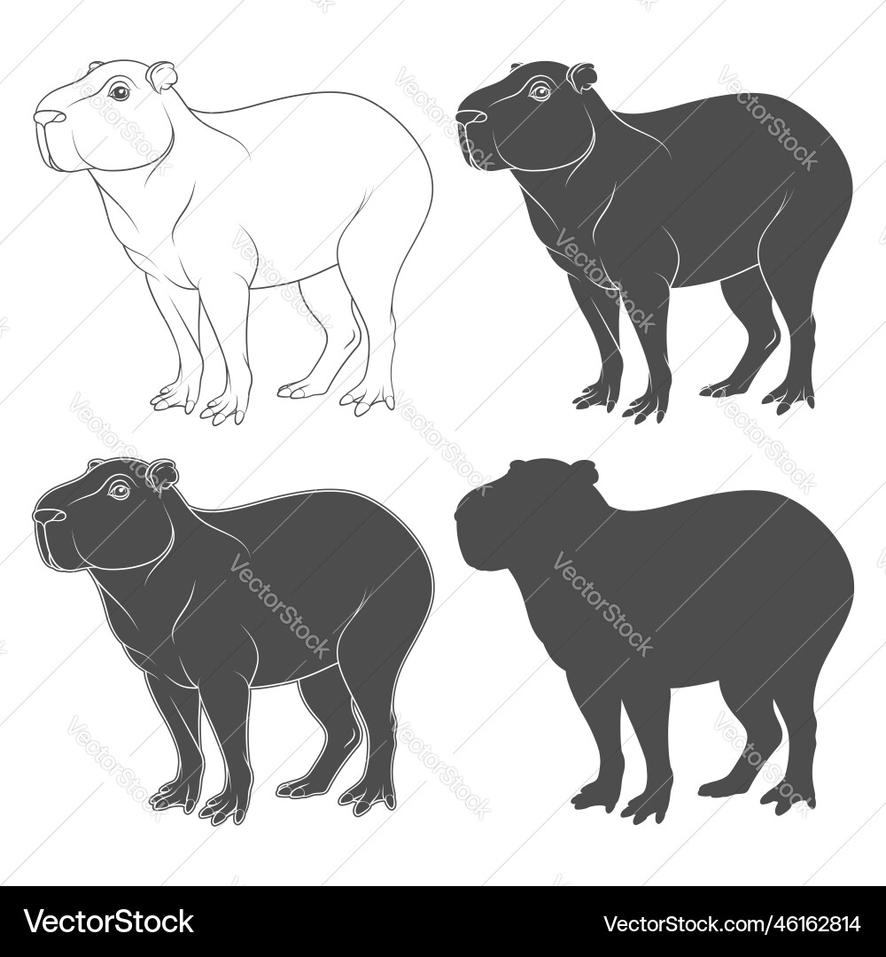 Set of black and white with capybara Royalty Free Vector