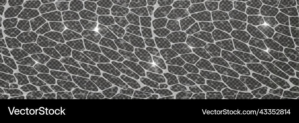 Top view of the liquid surface with caustic Vector Image