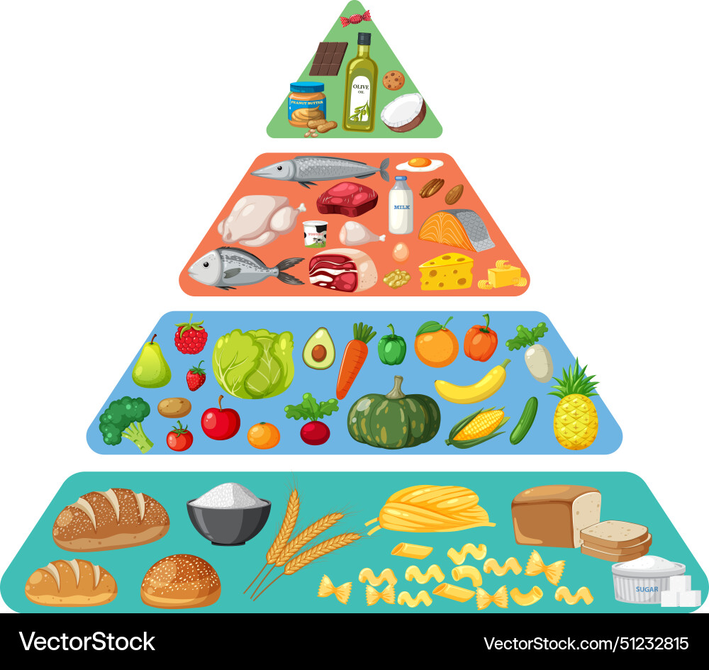 A food pyramid with various foods Royalty Free Vector Image