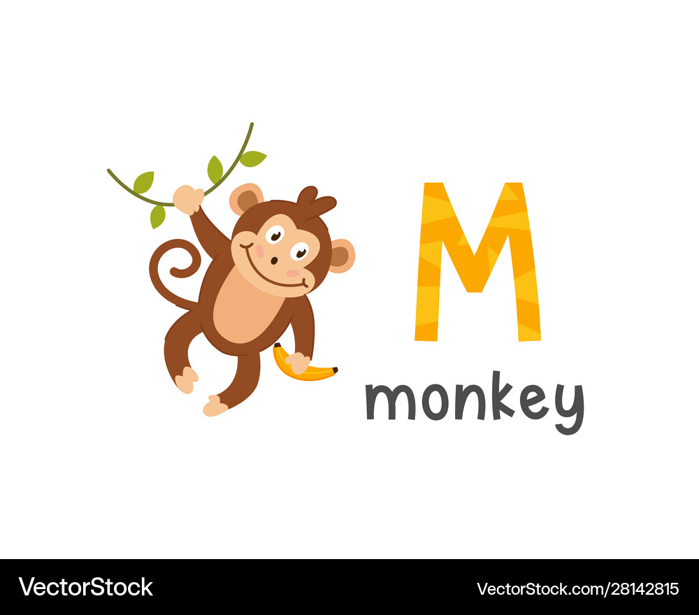 Alphabet letter m and monkey Royalty Free Vector Image