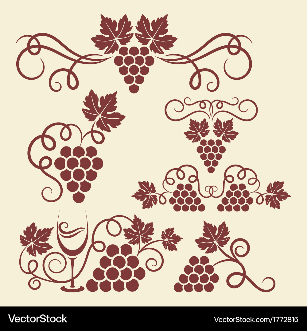 Grape vine elements Royalty Free Vector Image - VectorStock