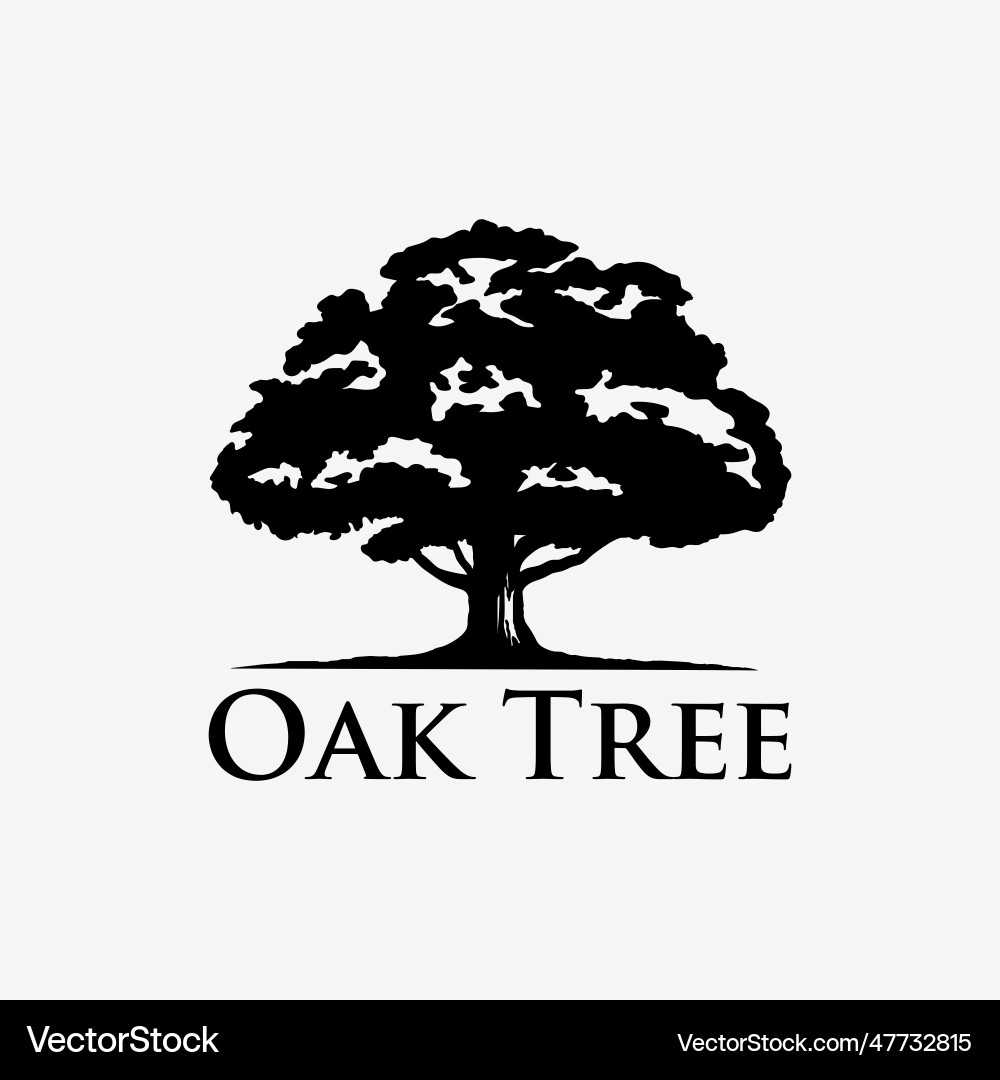 Oak Tree Silhouette Silhouette Of Large Oak Tree Against A Pale Sky.