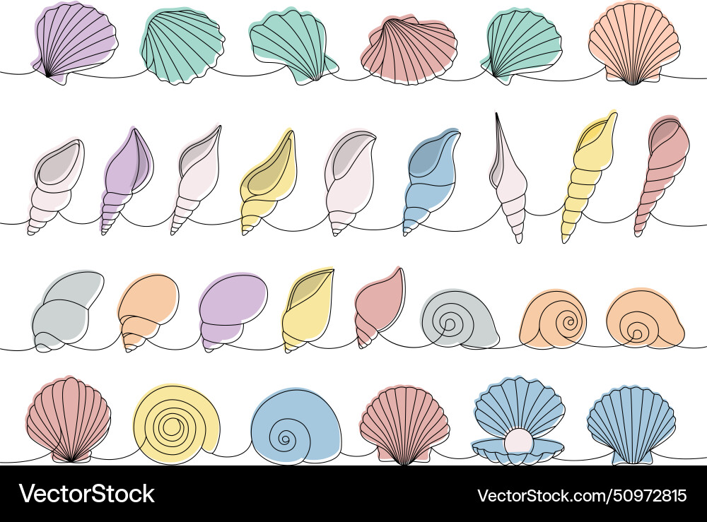 Scallop sea shells set mollusks Royalty Free Vector Image