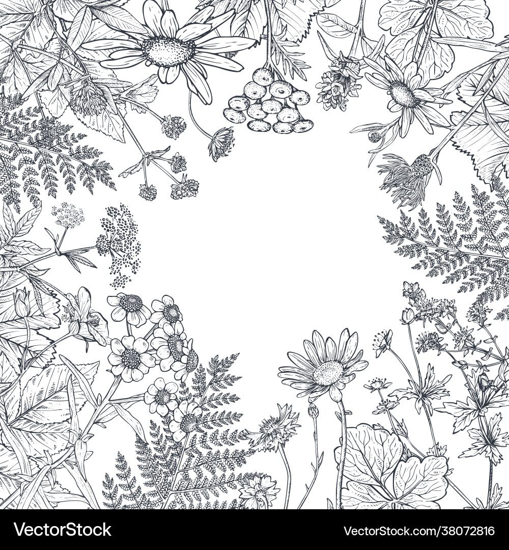 Floral frame with hand drawn wildflowers Vector Image