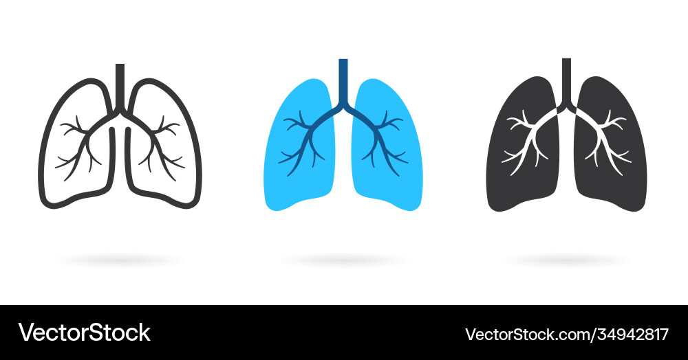 Human lungs icons on white background Royalty Free Vector