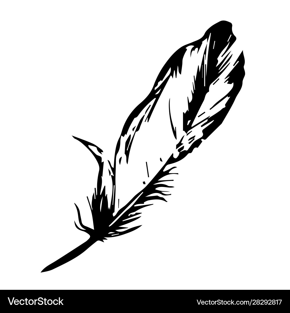 One feather bird black silhouette Royalty Free Vector Image