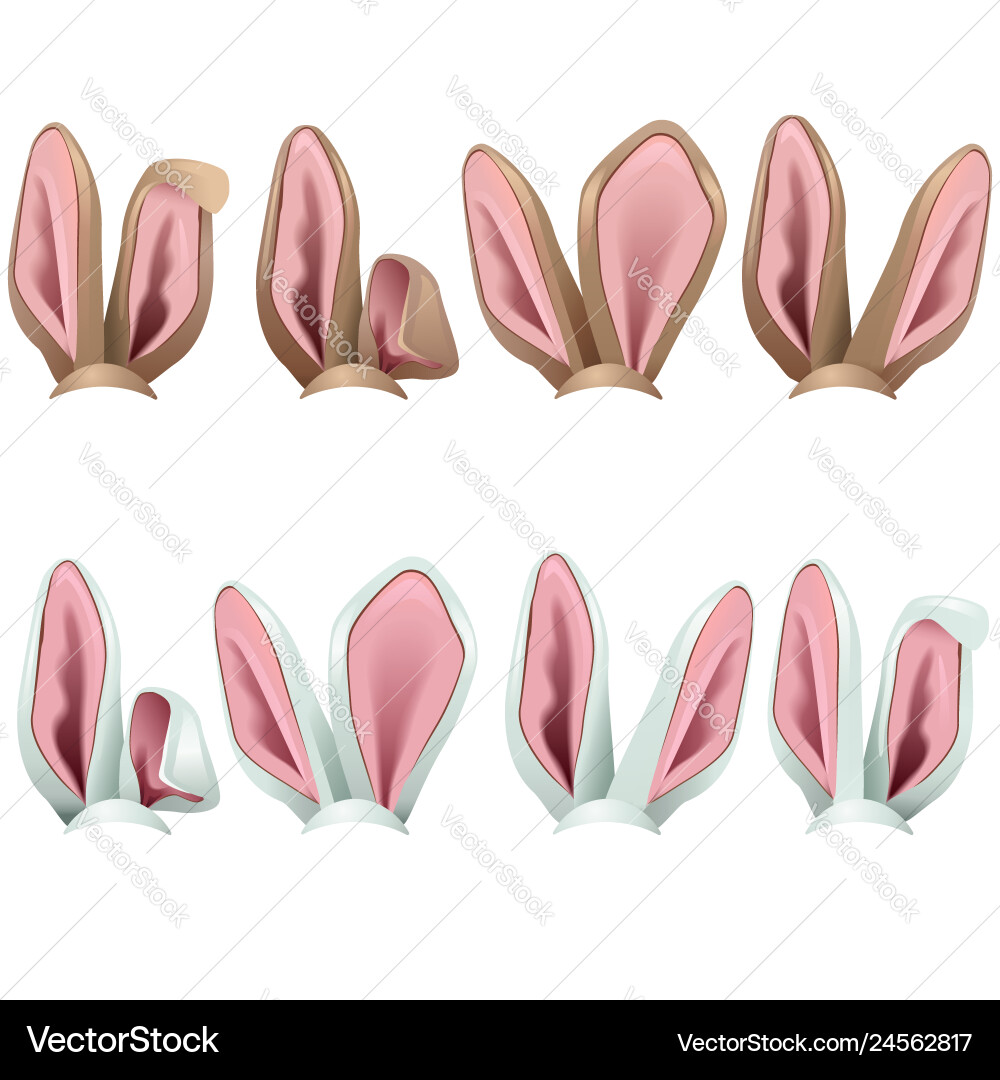 Rabbit ears icons Royalty Free Vector Image - VectorStock