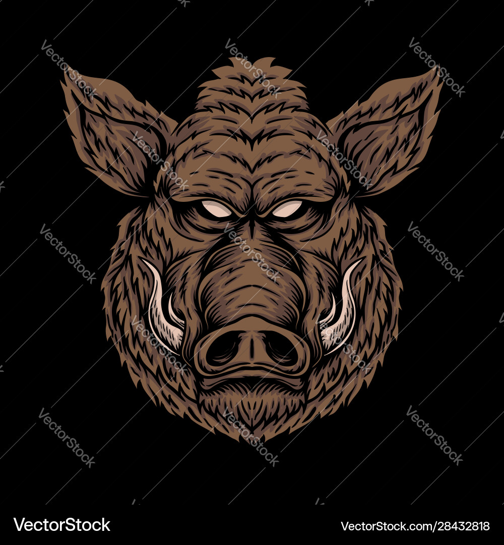 Boar head Royalty Free Vector Image - VectorStock