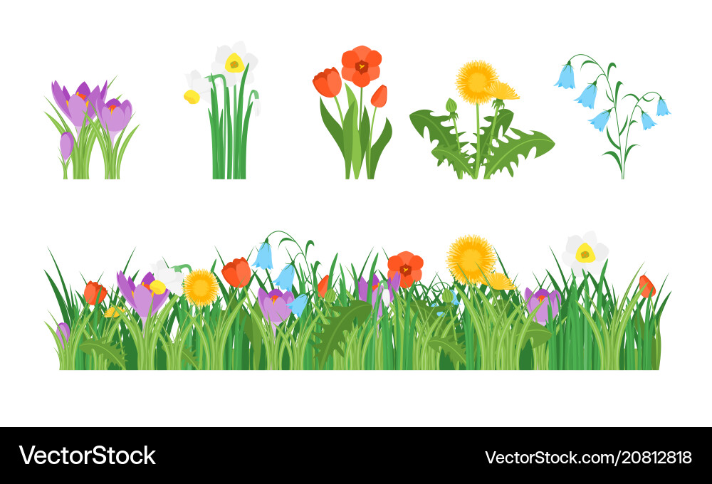 Cartoon garden flowers and element set Royalty Free Vector