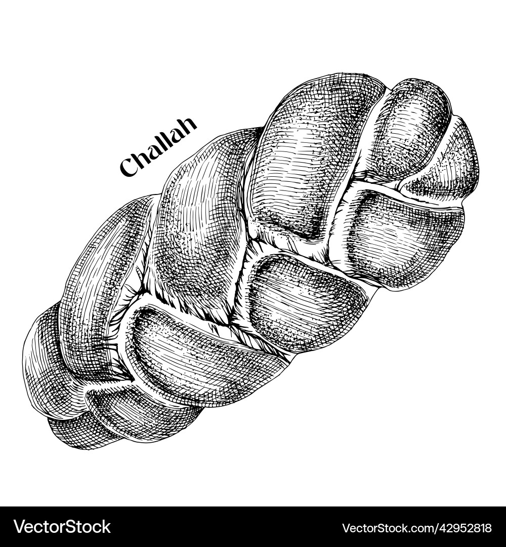 Fresh homemade braided egg bread Royalty Free Vector Image