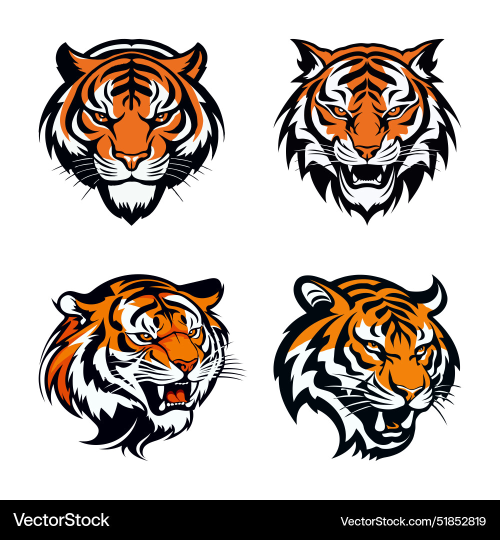 Bengal tiger Royalty Free Vector Image - VectorStock