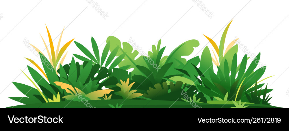 Decorative composition jungle plants on ground Vector Image