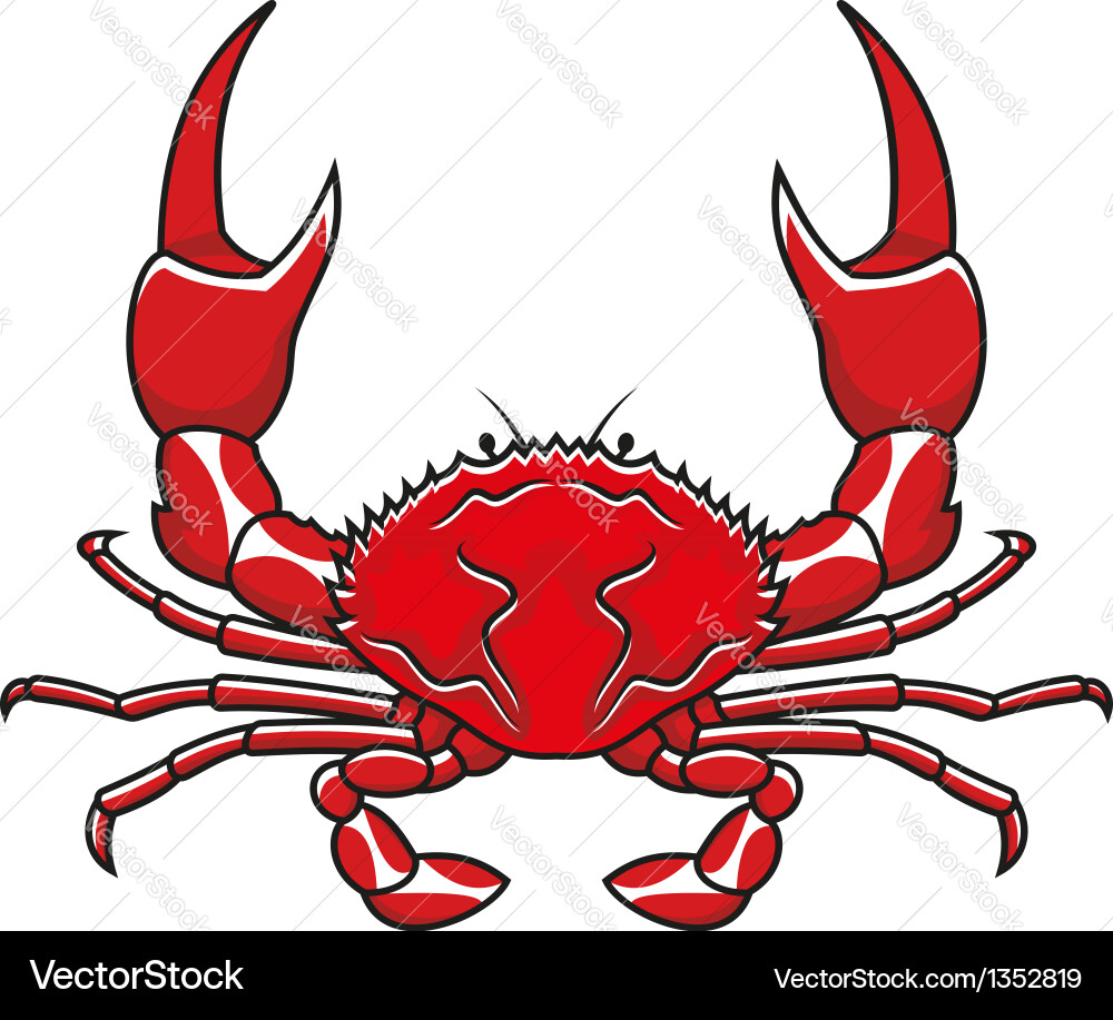Red crab Royalty Free Vector Image - VectorStock