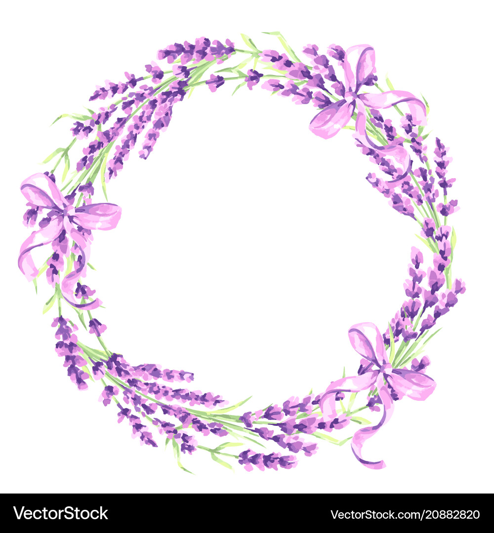 Lavender flowers decorative element Royalty Free Vector