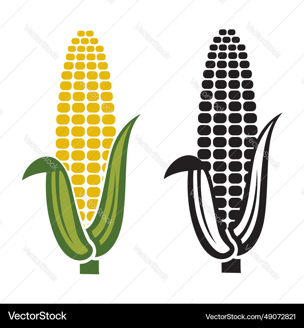Corn cob icons Royalty Free Vector Image - VectorStock