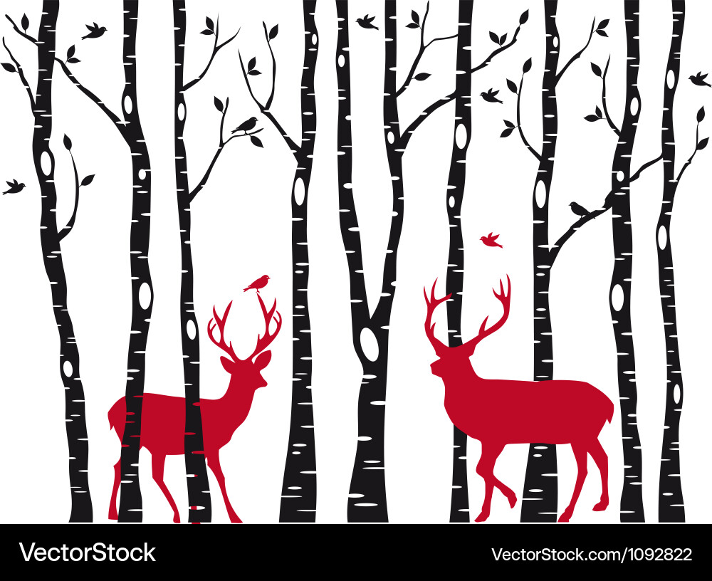 Birch tree forest with deers Royalty Free Vector Image