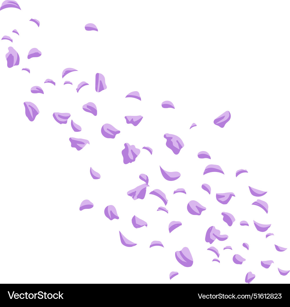 Lavender rose flower petals falling flowers Vector Image