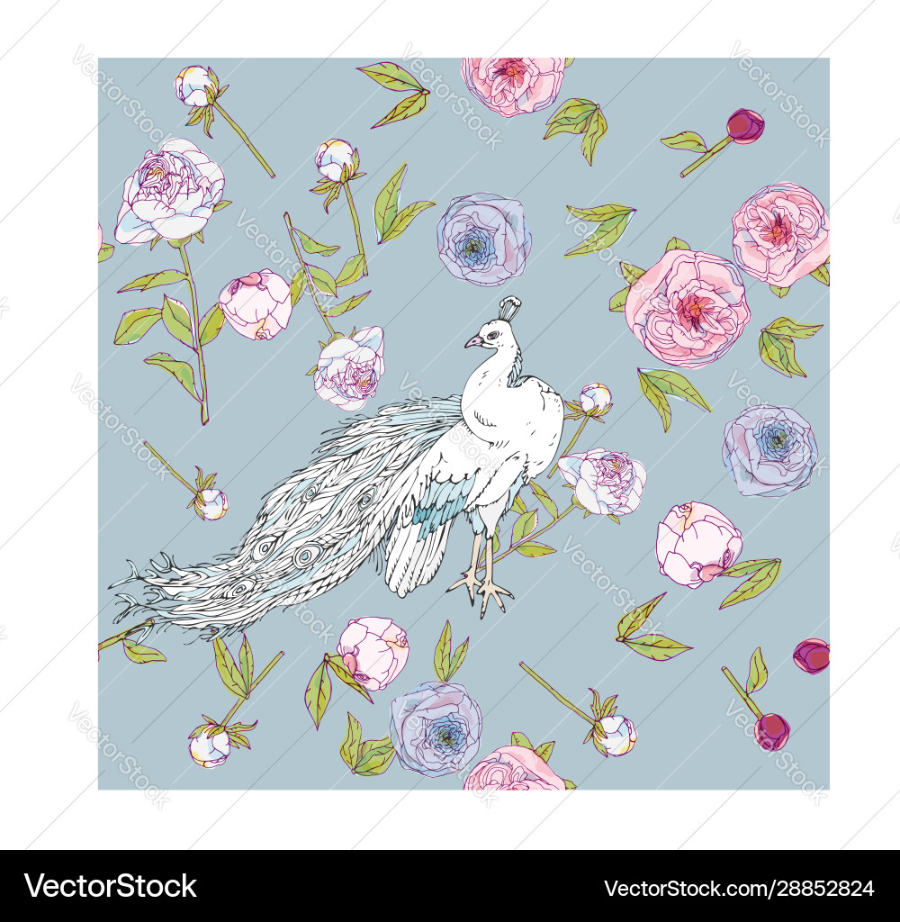 White peacock and leaves stems inflorescences Vector Image