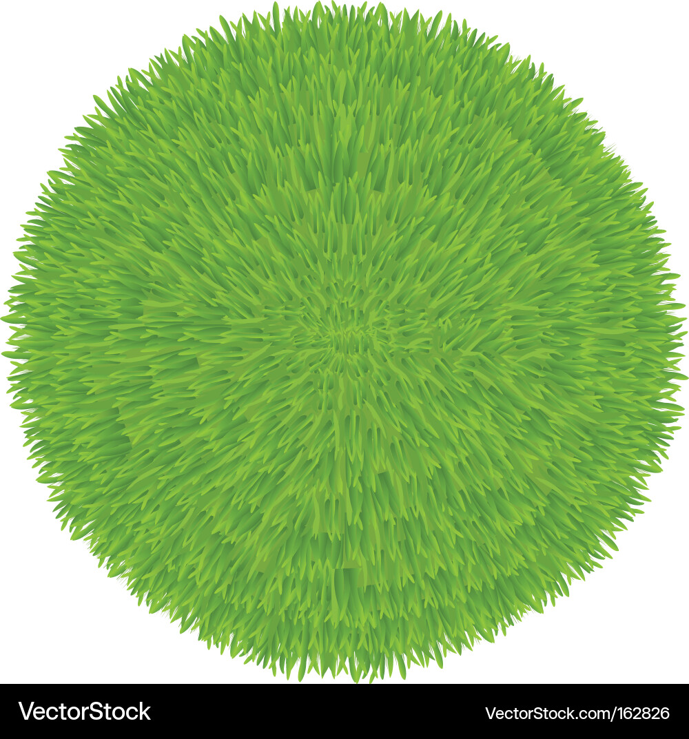 Grass ball Royalty Free Vector Image - VectorStock