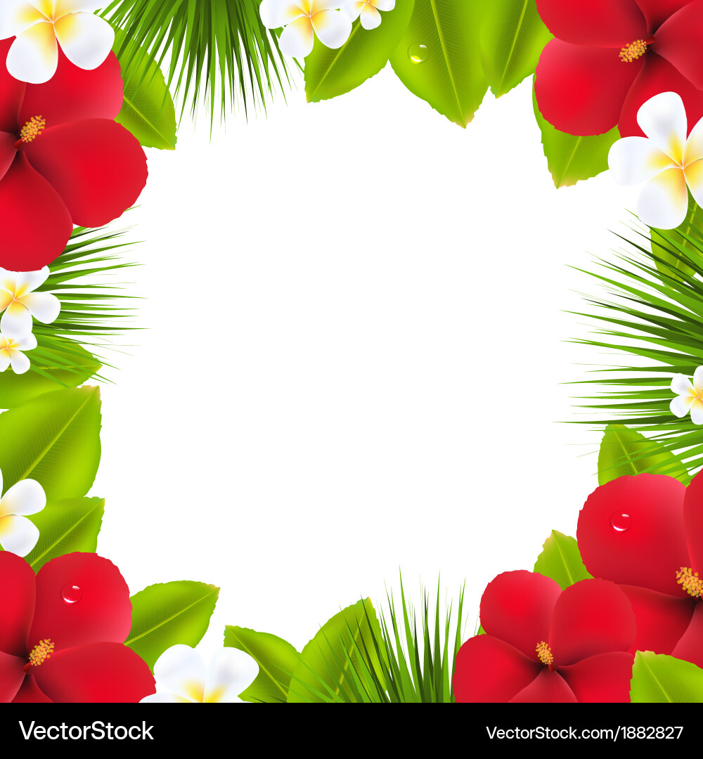 Green border with tropical elements Royalty Free Vector
