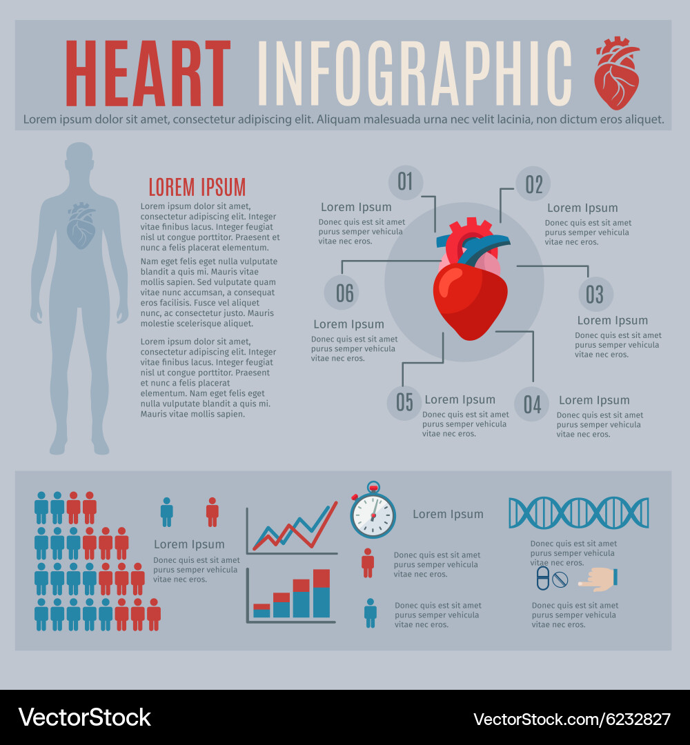 Heart Health Infographics Royalty Free Vector Image