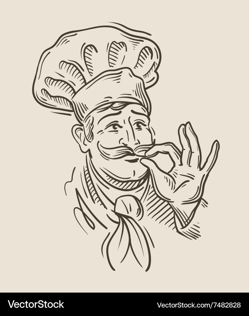 Chef sketch Royalty Free Vector Image - VectorStock