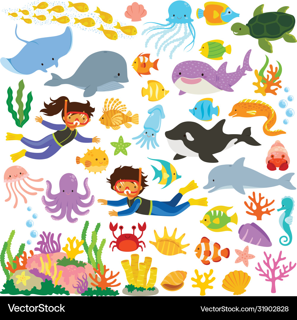 Sea animals collection Royalty Free Vector Image