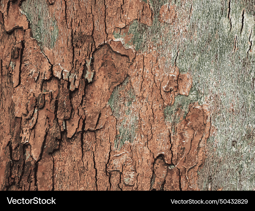 Texture of the bark Royalty Free Vector Image - VectorStock