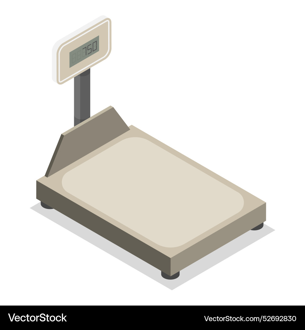 3d isometric flat set of scales types item Vector Image