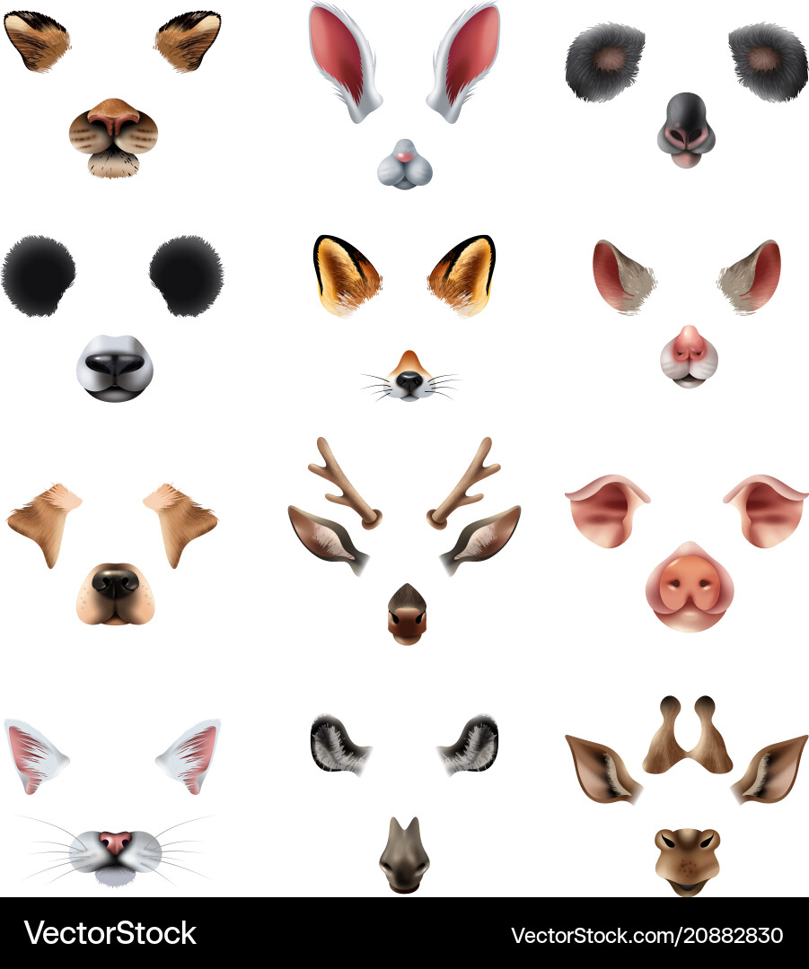 Cute animal masks video chat application effect Vector Image