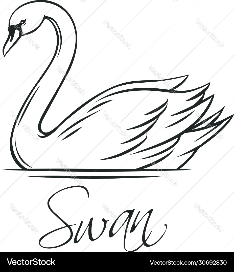 Simple Swan Outline