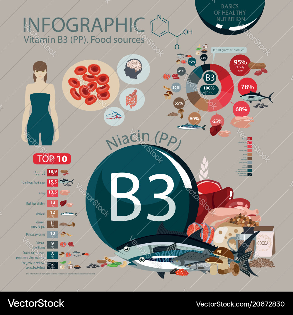Vitamin B3 (Niacin) Nutritional Sources Royalty Free Vector