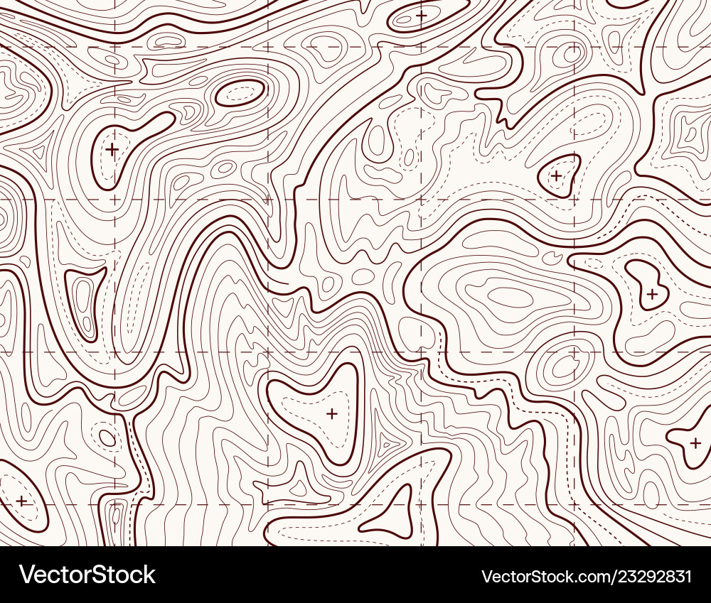 Topographic map trail mapping grid contour Vector Image