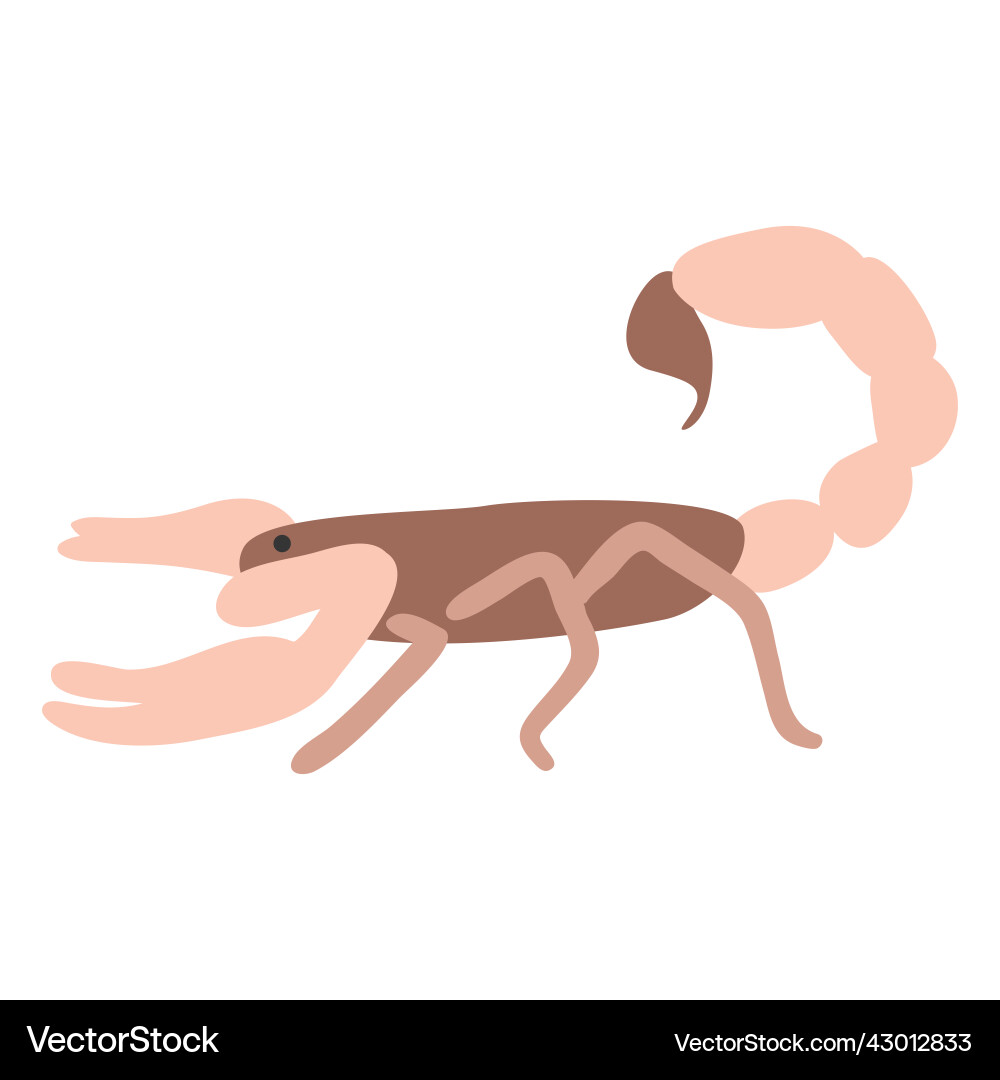 Scorpion dangerous animal Royalty Free Vector Image