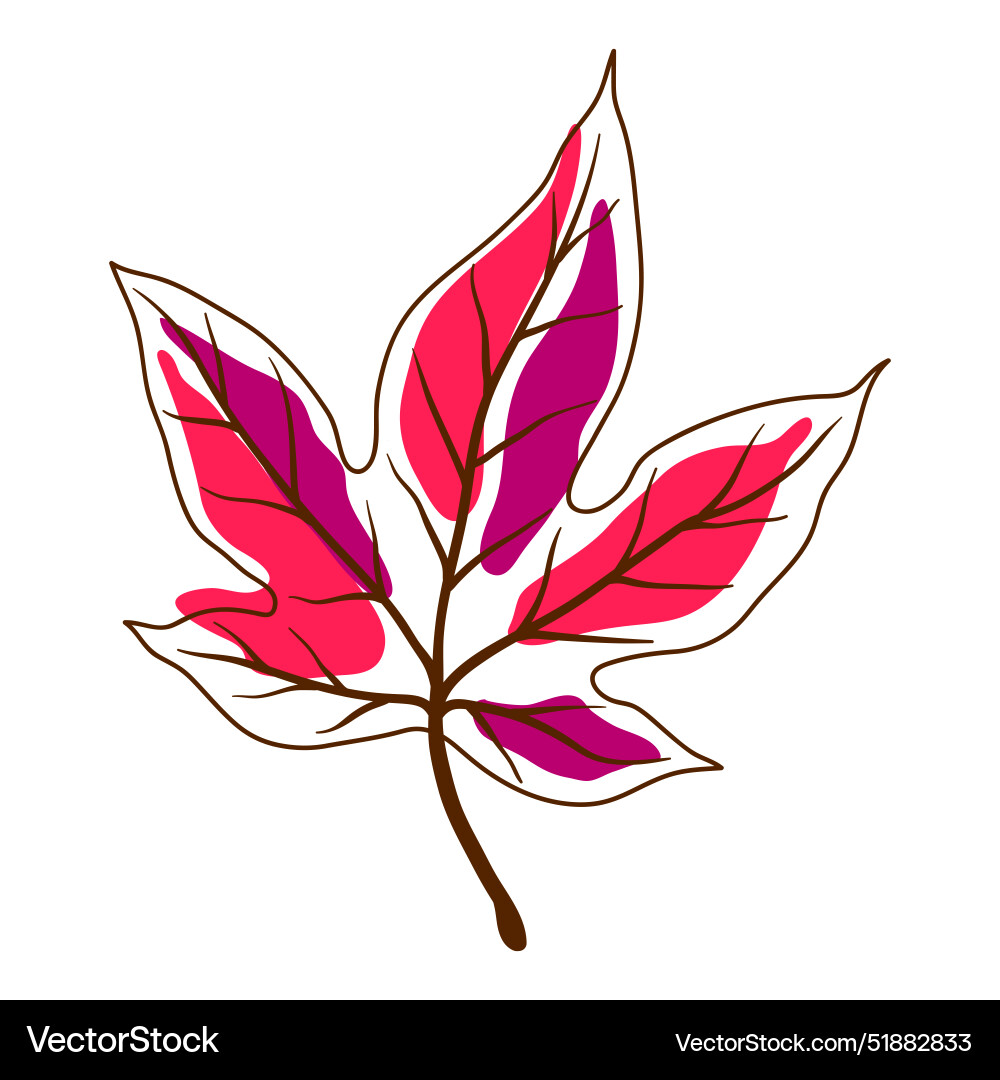 Sweet gum leaf decorative autumn Royalty Free Vector Image