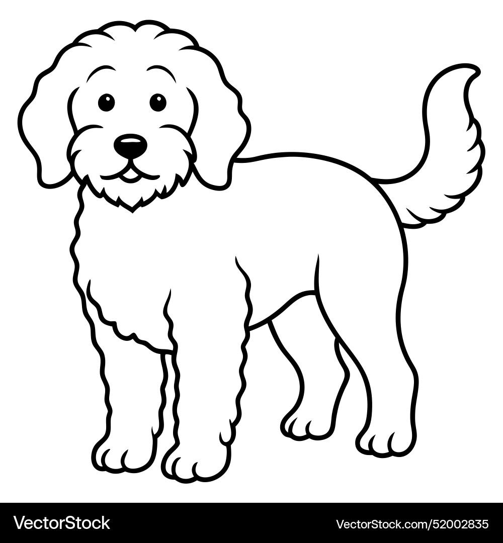 Cockapoo dog stands icon Royalty Free Vector Image